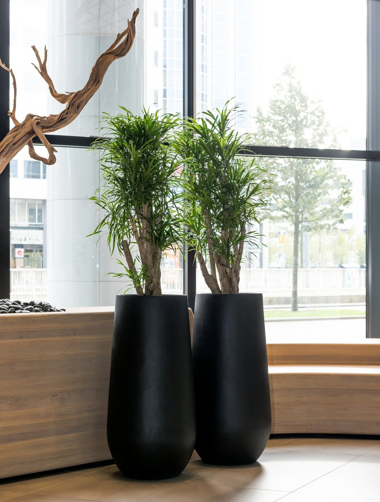 Czarna wysoka donica kamienna Nax M | www.hydroponika.pl