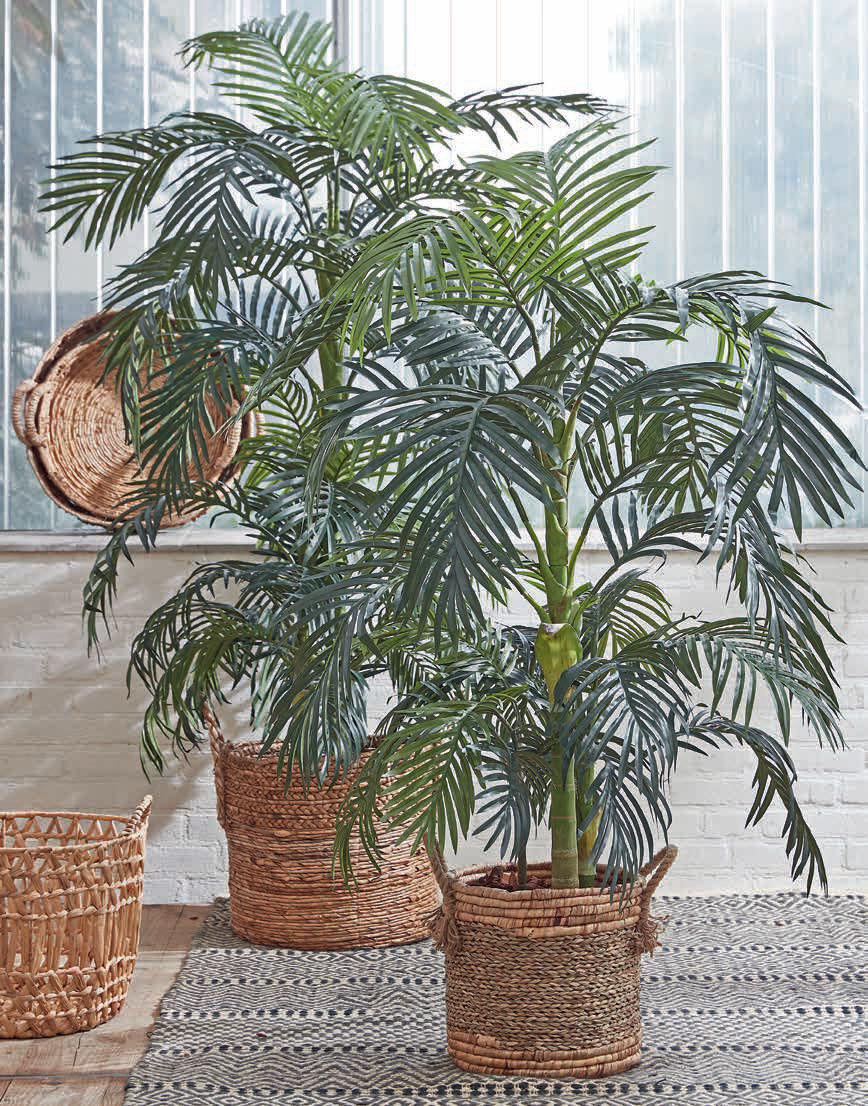 Sztuczne palmy Areka w zestawie | www.hydroponika.pl
